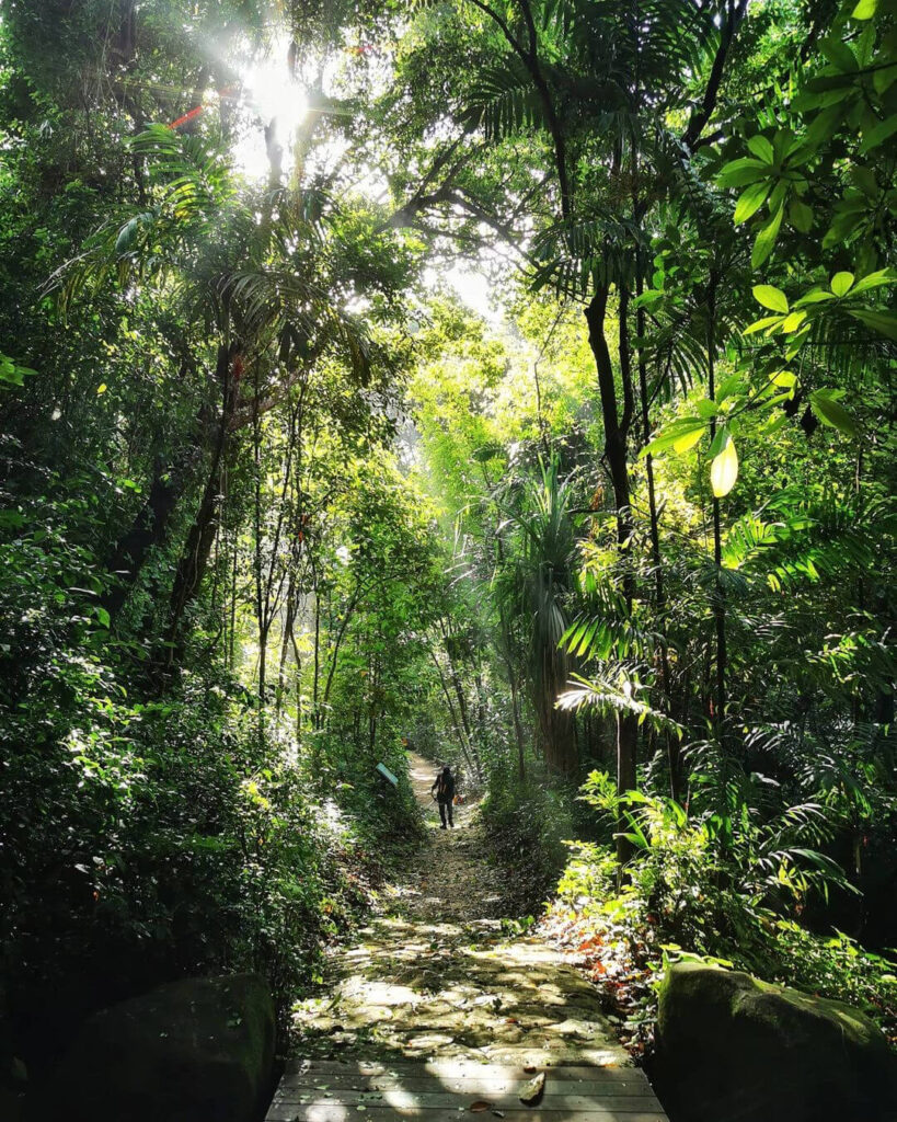 23 Atraksi Wisata di Pulau Sentosa, Main Sampai Puas!